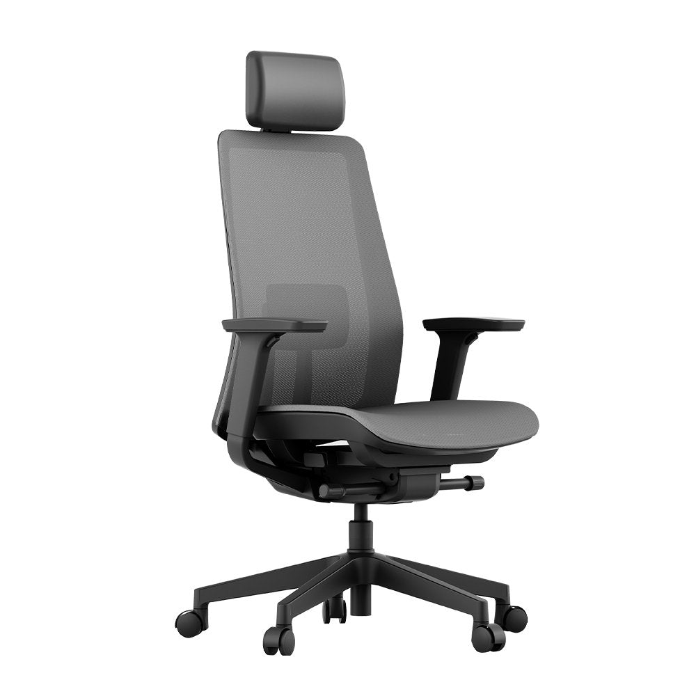 KREDE - K10M 高背電腦網椅 | Freemax - The Body Solution